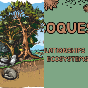 Free Homework Prep: Ecosystem Organization 6.12F - Free Educational ...