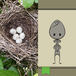 Worksheet: Life Cycles of Plants and Animals 3.10B - Free Games and ...