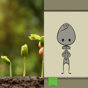Game Based Learning: Life Cycle of Seed Plants 3.L.2.3 - Free Games and ...