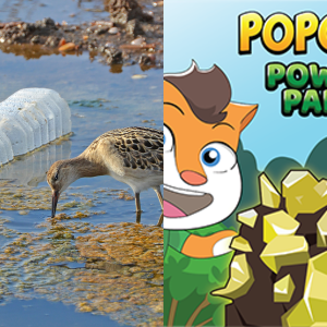 For Class: Effect of Pollution on the Environment S3L2.a - Free Games ...