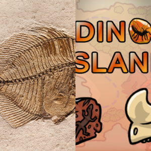 Teaching Plan: Fossil Record MS-ESS1.C-1a - Free Educational Games ...