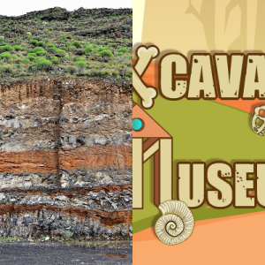 Free Lesson: Formation of Sedimentary Rocks and Fossil Fuels 5.7A ...