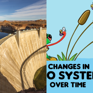 Free Educational Games: Human Dependence on the Ocean 8.11C - Free ...