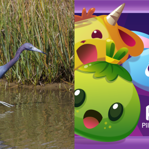 Game Based Learning: Use Observations to Recognize Basic Needs of ...