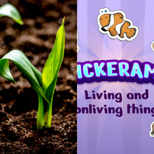 Worksheet: Natural Resources K-ESS3.A-1 - Free Games and Assessments ...