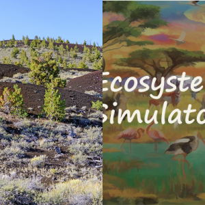 Teaching Plan: Ecological Succession 7.10C - Free Games and Assessments ...