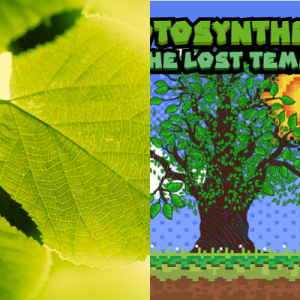 Game Based Learning: Photosynthesis MS-LS1.C-1 - Free Games and ...