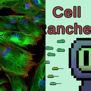 Practice: Cells and Life MS-LS1.A-1 - Free Games and Assessments ...
