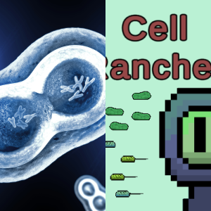 Lesson: Pre-existing Cells 3.1.7.A4 - Free Games and Assessments ...