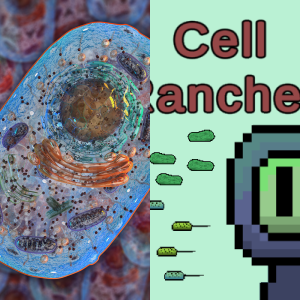 Lesson: Structures and Functions of Single Celled Organisms 7.L.1.1 ...