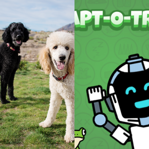 Worksheet: Variation of Traits and Survival 6.13C - Free Games and ...