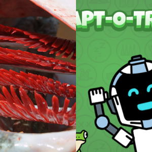 Free Homework Prep: Adaptation of Internal Structures 7.12A - Free ...