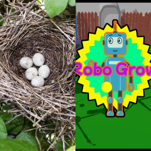 Free Homework Prep: Growth and Development of Organisms LS1.B-1 - Free ...