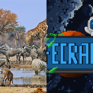 Practice: TN K.ESS3-1 - Basic Needs of Plants and Animals - Free Games ...