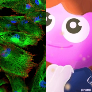 Worksheet: Cells and Life MS-LS1.A-1 - Free Games and Assessments ...