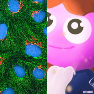 Free Lesson: Cell Theory 7.12F - Free Games and Assessments - Legends ...