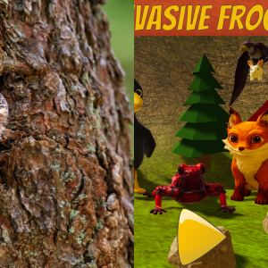 Game Based Learning: Species Population and Ecosystem Balance 4.LS2.4 ...