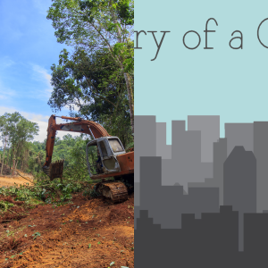 Student Lesson: Agriculture's Environmental Impacts 4.4.7.A - Free ...