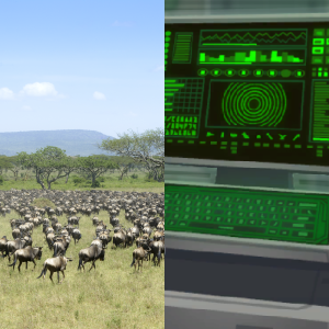 For Class: Ecosystem Dynamics, Functioning, and Resilience ES-LS2.C-1 ...