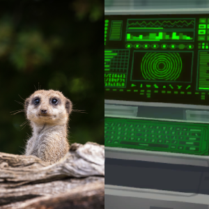 Teaching Plan: Information Processing 5.LS1.1 - Free Games and ...