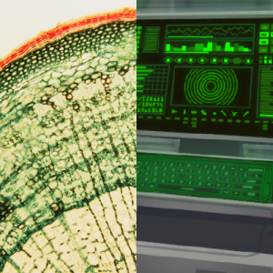 Free Homework Prep: Plant vs. Animal Cells S5L3.c - Free Games and ...