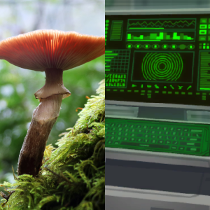 Free Lesson: Carbon Cycle SC.8.L.18.3 - Free Games and Assessments ...