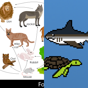 Free Lesson: Food Webs 4.1.5.C - Free Games and Assessments - Legends ...