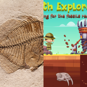 Student Lesson: Fossil Record MS-ESS1.C-1a - Free Games and Assessments ...