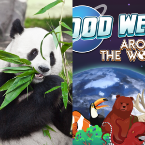 For Class: Food Webs Around the World - Free Games and Assessments ...