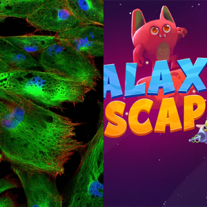 Game Based Learning: Cells and Life MS-LS1.A-1 - Free Games and ...