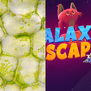 Game Based Learning: Parts of the Cell - Plants vs. Animals MS-LS1.A-2b ...