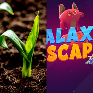 Free Educational Games: Balance of Biodiversity and Human Resources 6 ...