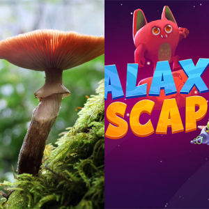 Teaching Plan: Carbon Cycle SC.8.L.18.3 - Free Games and Assessments ...