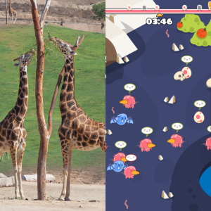 Worksheet: Natural Selection LS4.B-1 - Free Games and Assessments ...