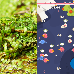 Practice: Mutation, Adaptation, Natural Selection, and Extinction LS ...