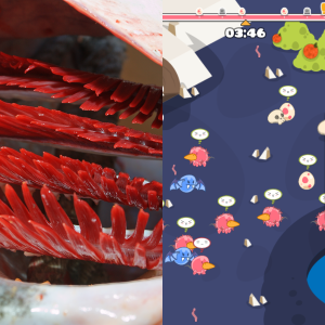 Teaching Plan: Adaptation of Internal Structures 7.12A - Free Games and ...