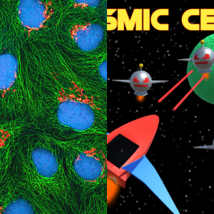 Student Lesson: Parts of the Cell 7.12D - Free Games and Assessments ...