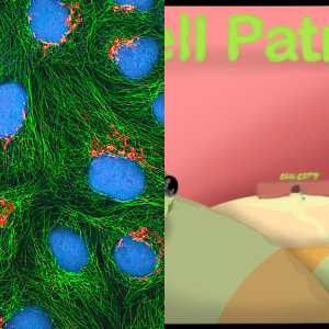 Student Lesson: Parts of the Cell MS-LS1.A-2a - Free Games and ...