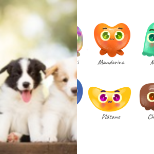 Free Educational Games: Ordinal Numbers - Free Games and Assessments ...